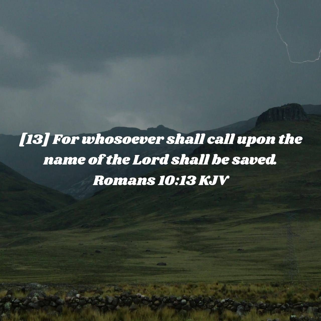Bible Study – Noah’s Family Tree | The Vine Vigil